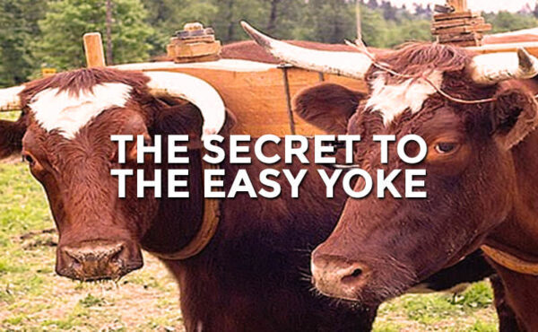 The Secret Of The “Easy Yoke” | San Diego Reformed Church